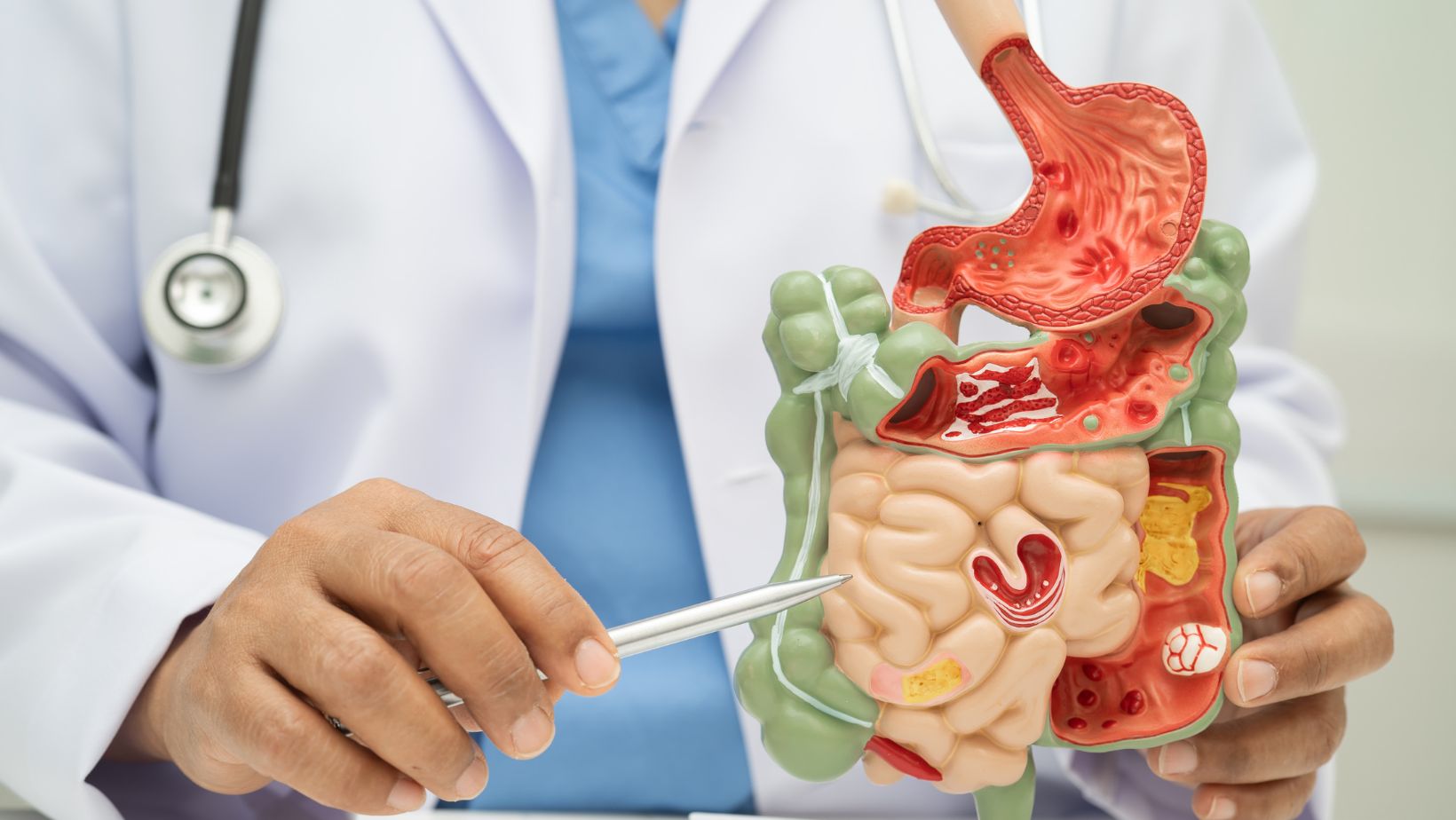 What is Gastroenterology? A Complete Guide to Digestive Health ...